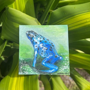 Assorted Colored Pencil Frog Drawings - Etsy