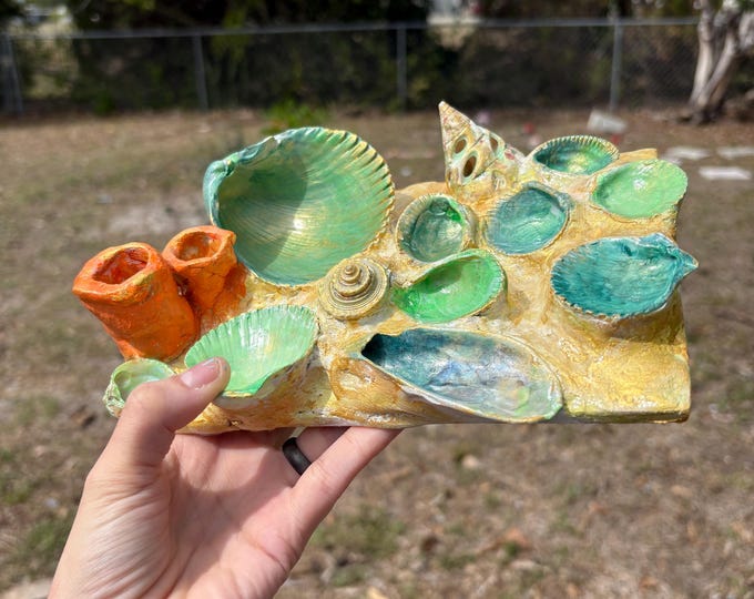 Iridescent Seashell Paint Palette Mermaid Style With Real Hand-picked ...