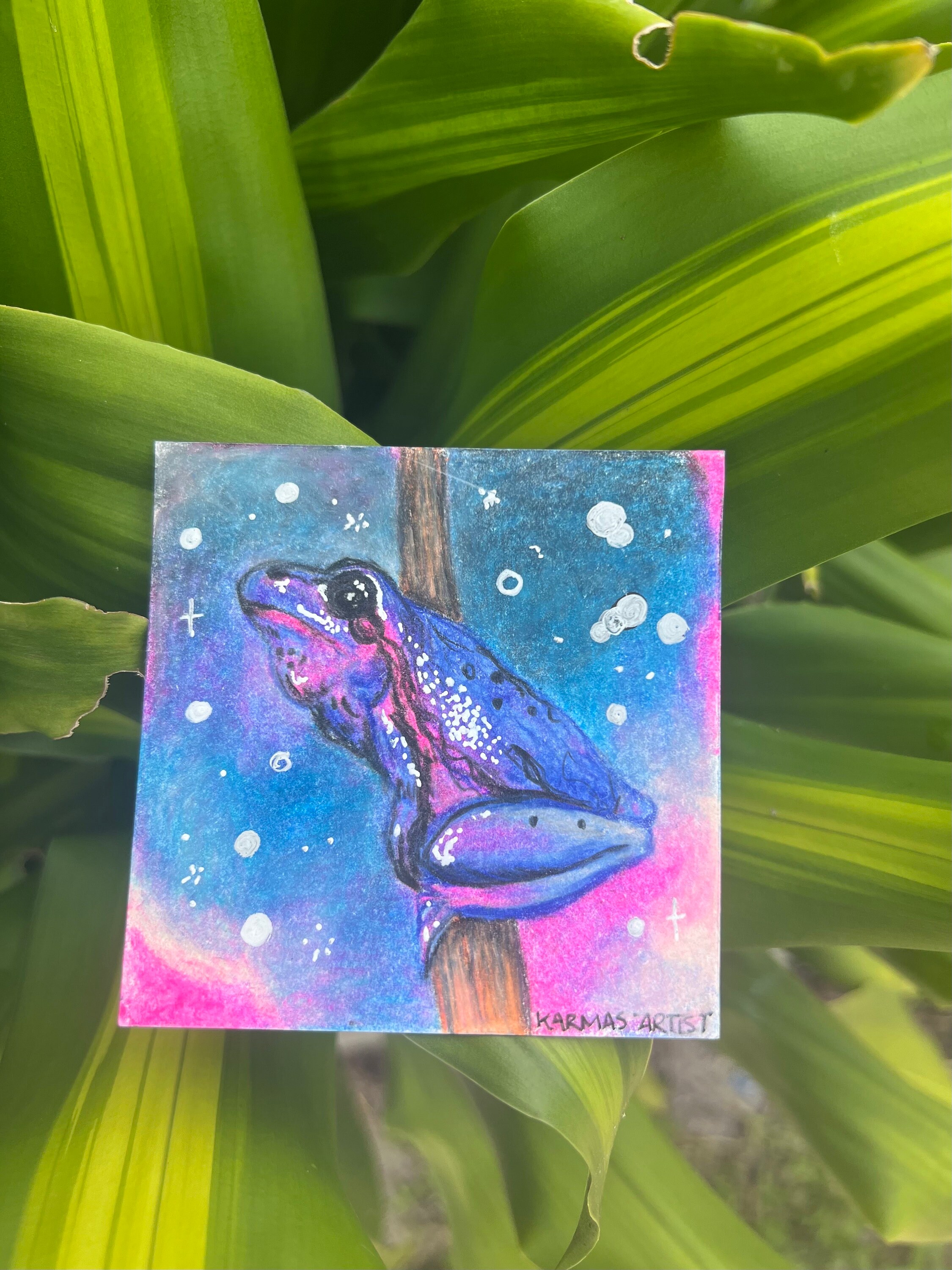 Assorted Colored Pencil Frog Drawings - Etsy