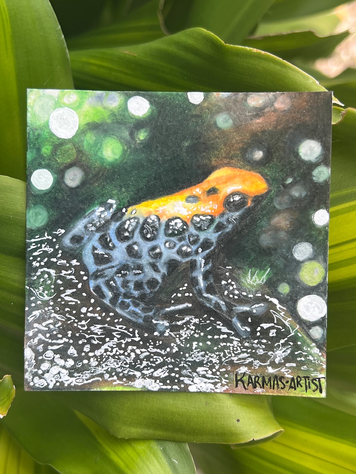 Assorted Colored Pencil Frog Drawings - Etsy