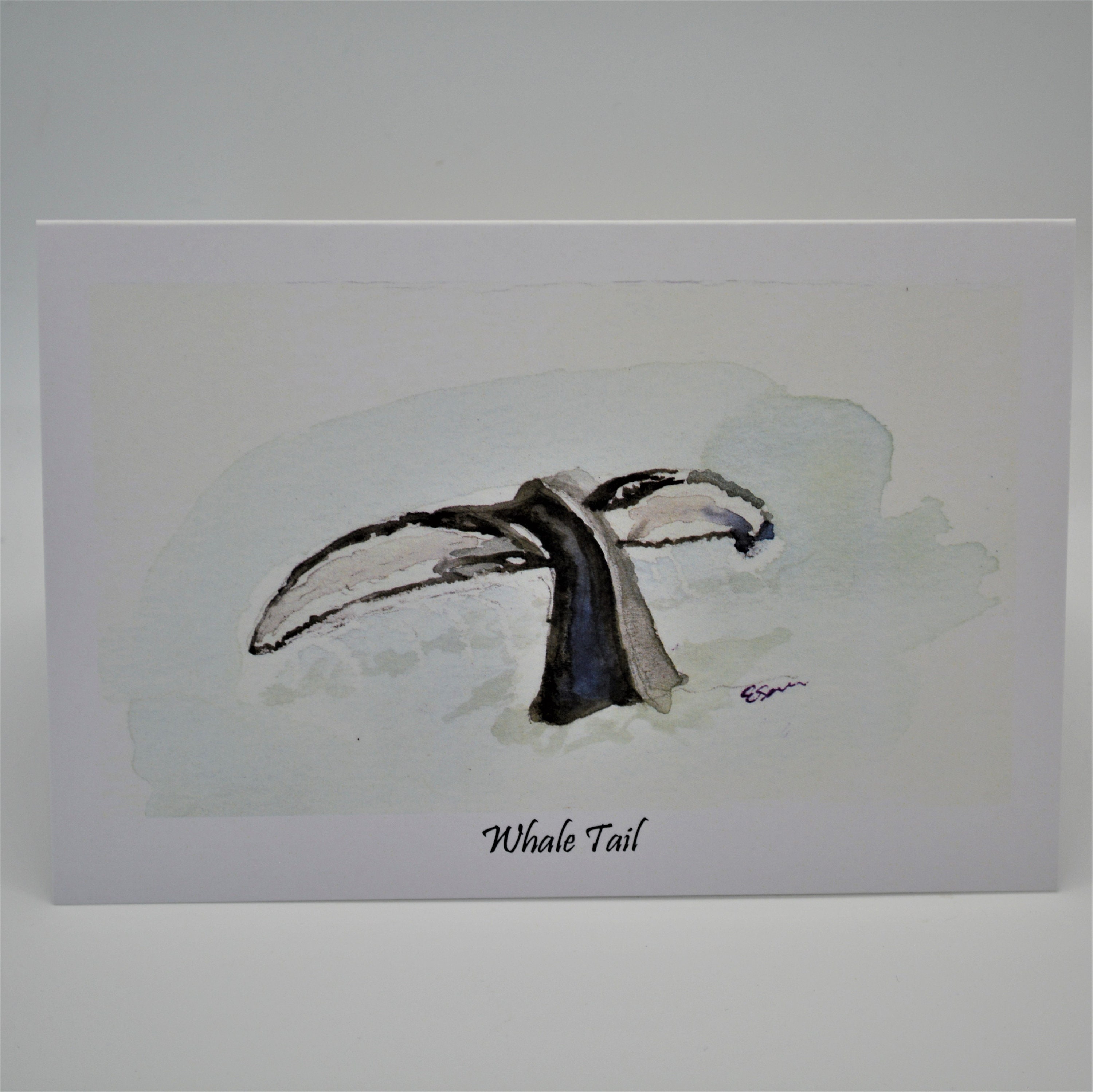 Whale Tail Pencil Drawing
