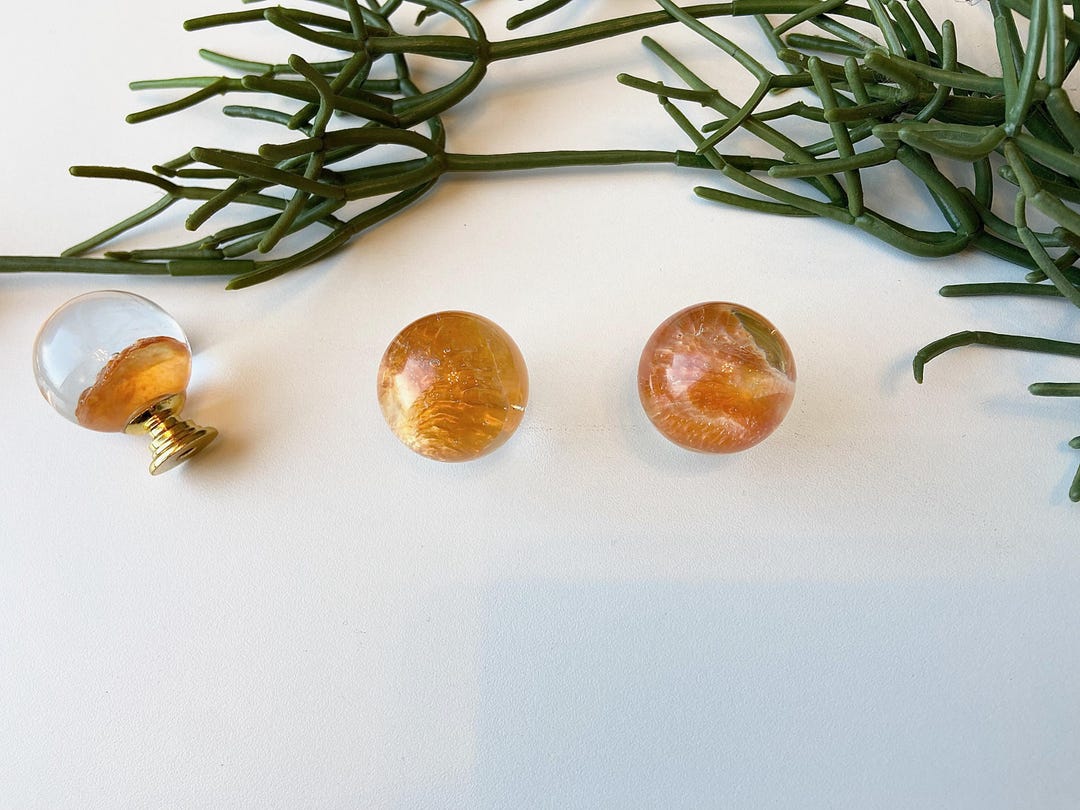 Epoxy Resin Seashell Cabinet Door Knobs, Decorative Coastal Chest of ...