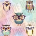 Watercolor Owl Clipart Wise Owls With Glasses Digital Download 20 PNG ...
