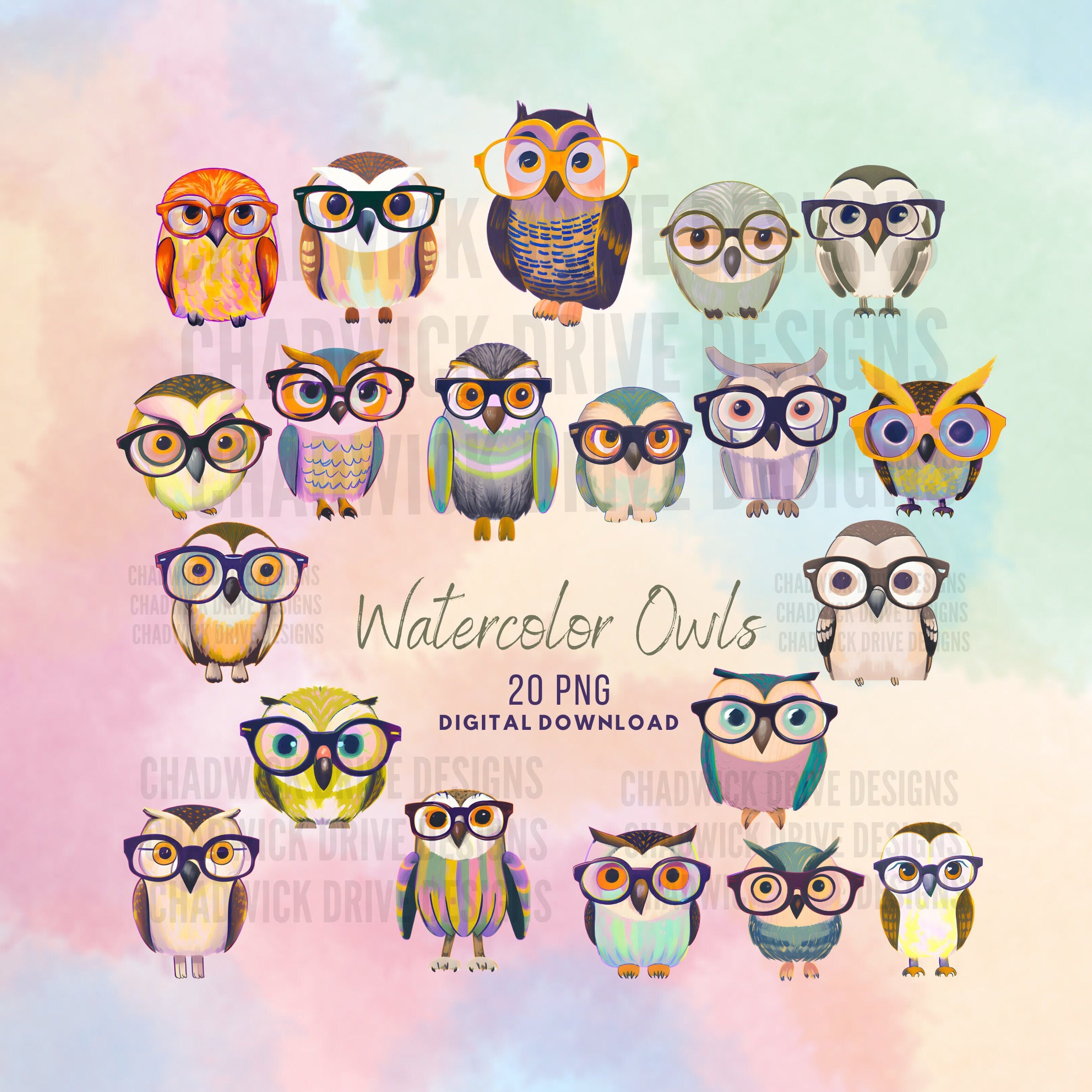 Watercolor Owl Clipart - Wise Owls With Glasses - Digital Download - 20 ...
