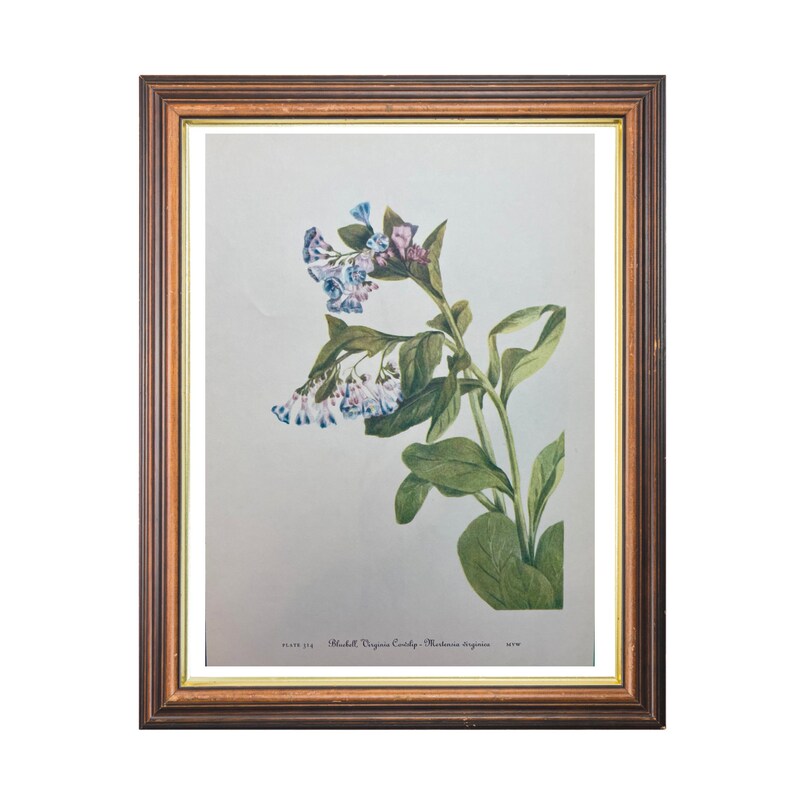 Mary Walcott - Etsy