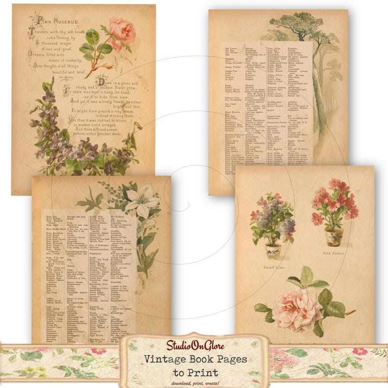 Vintage Floral Ephemera: Language of Flowers Book Pages (digital Paper ...