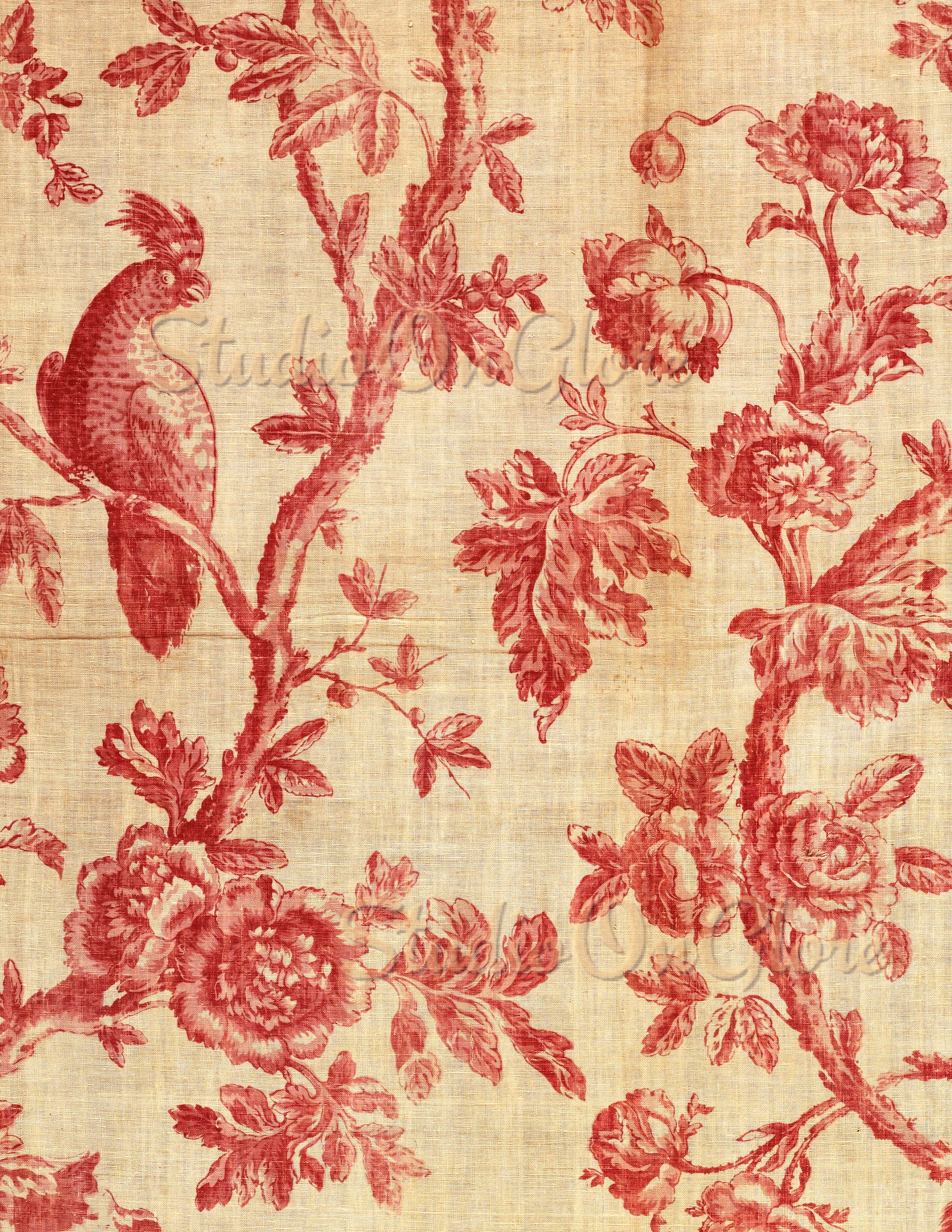 Vintage French TOILE Designs. 8.5x11 Digital Bird - Etsy