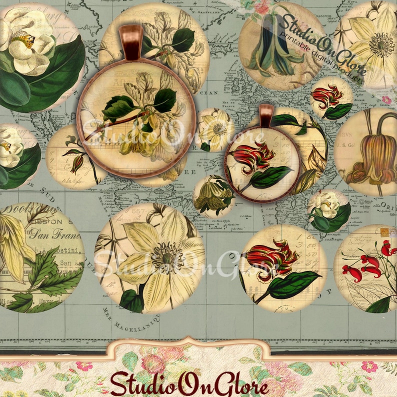 Vintage Botanical Clip Art. Printable Collage Sheet for - Etsy