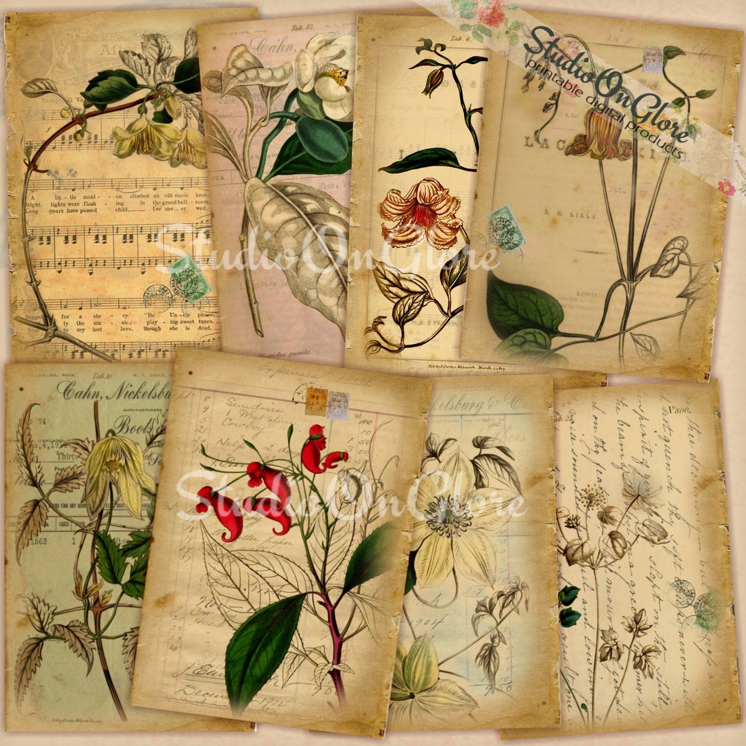 Vintage Botanical Trading & Index Cards. Plant Illustration Printable ...