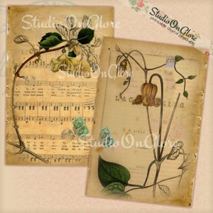 Vintage Botanical Trading & Index Cards. Plant Illustration Printable ...