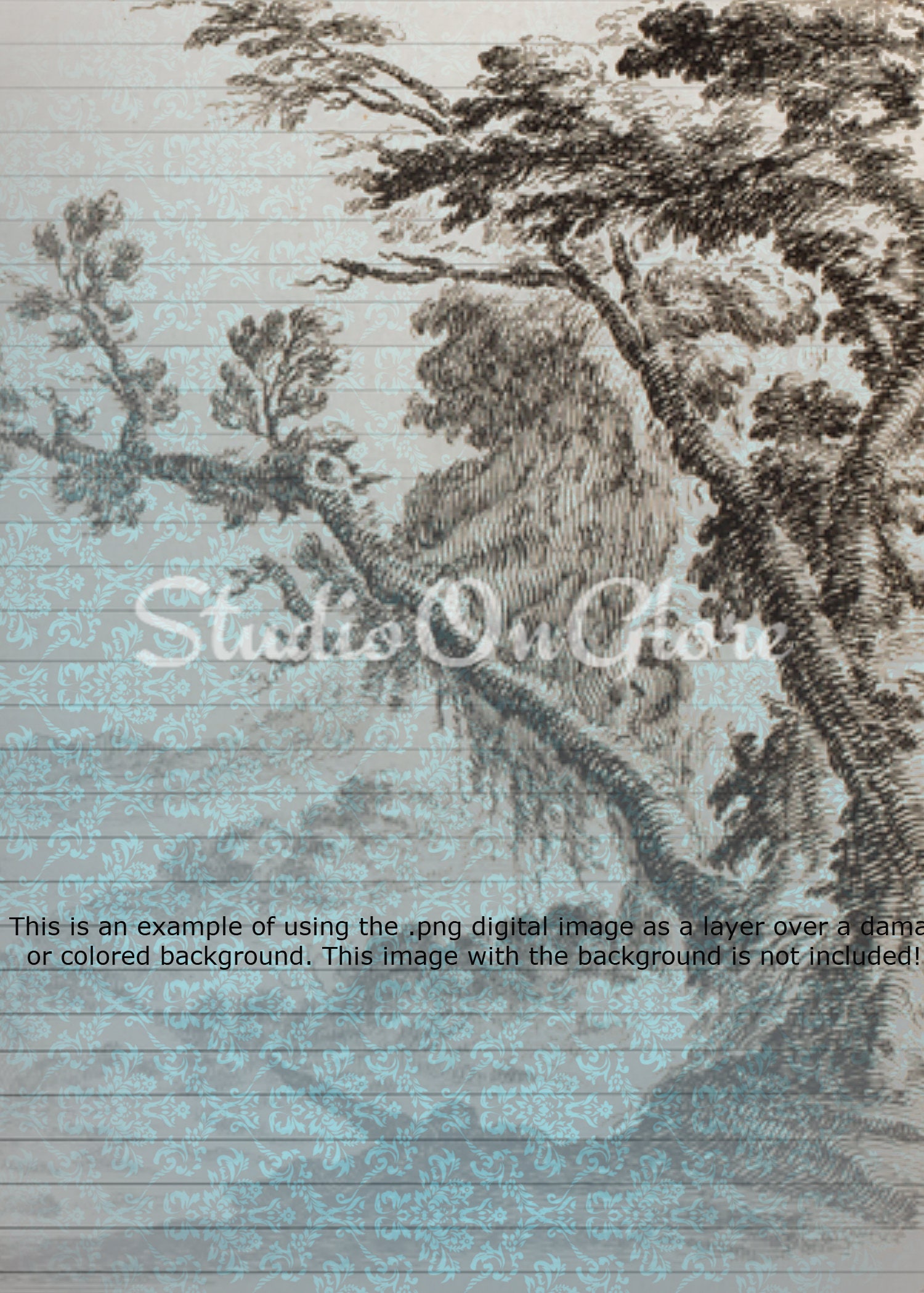 Lined & Unlined Printable or Transfer / Overlay 1647 Vintage | Etsy