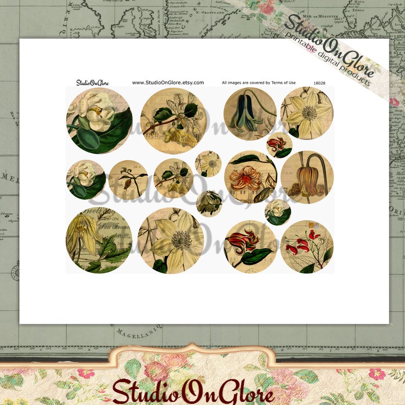 Vintage Botanical Clip Art. Printable Collage Sheet for - Etsy