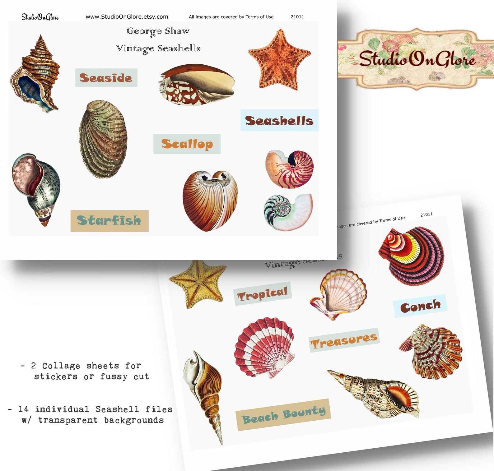Seashell Printable Individual 5x7 Files Plus Fussy Cut - Etsy