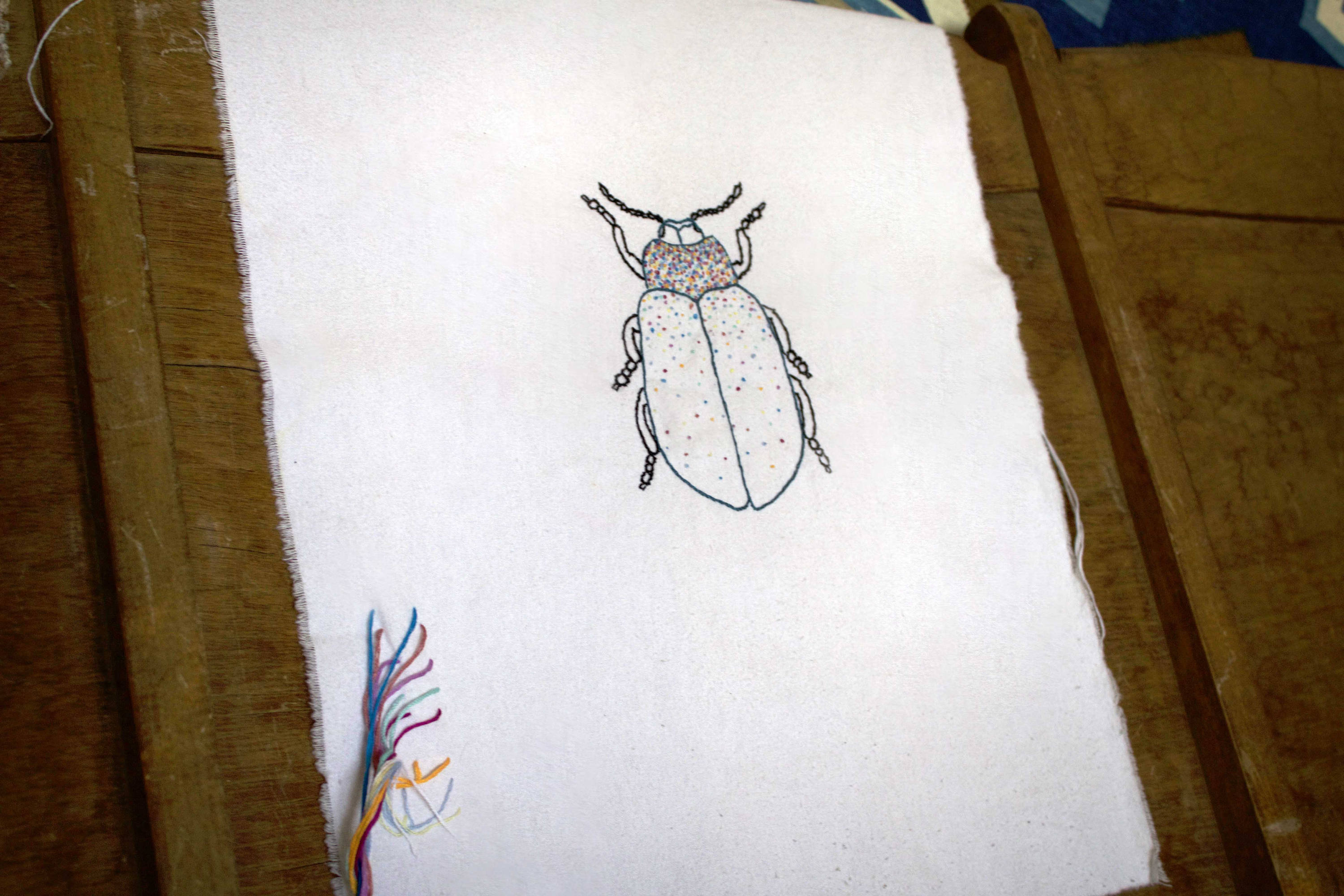 Scarab Beetle - Hand Embroidered Hoop Wall Art Insects - Etsy