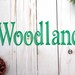 WOODLAND Font Alphabet Die Cut Letters Bulletin Board Set for School ...