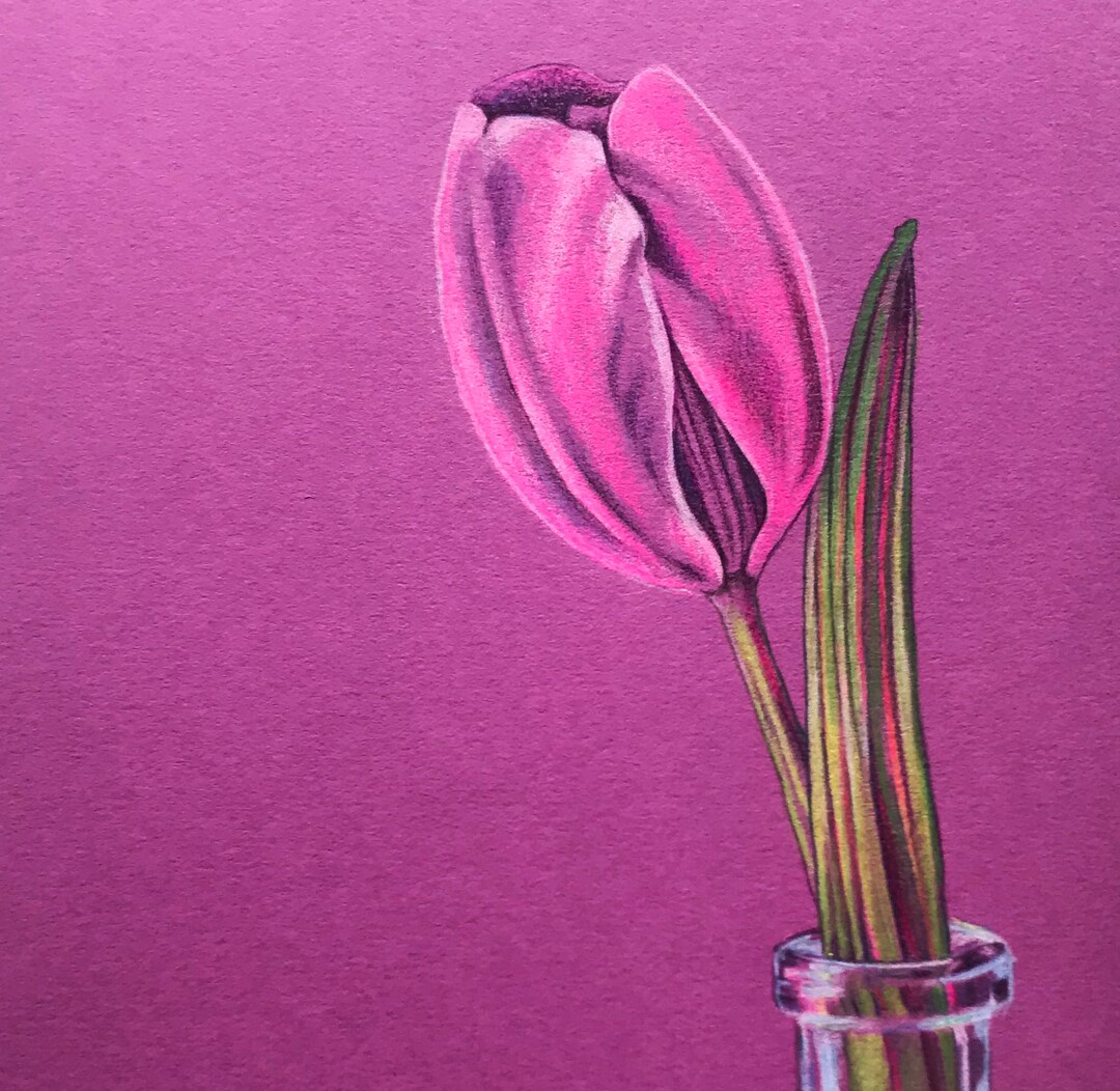 Purple Tulip Drawing - Etsy
