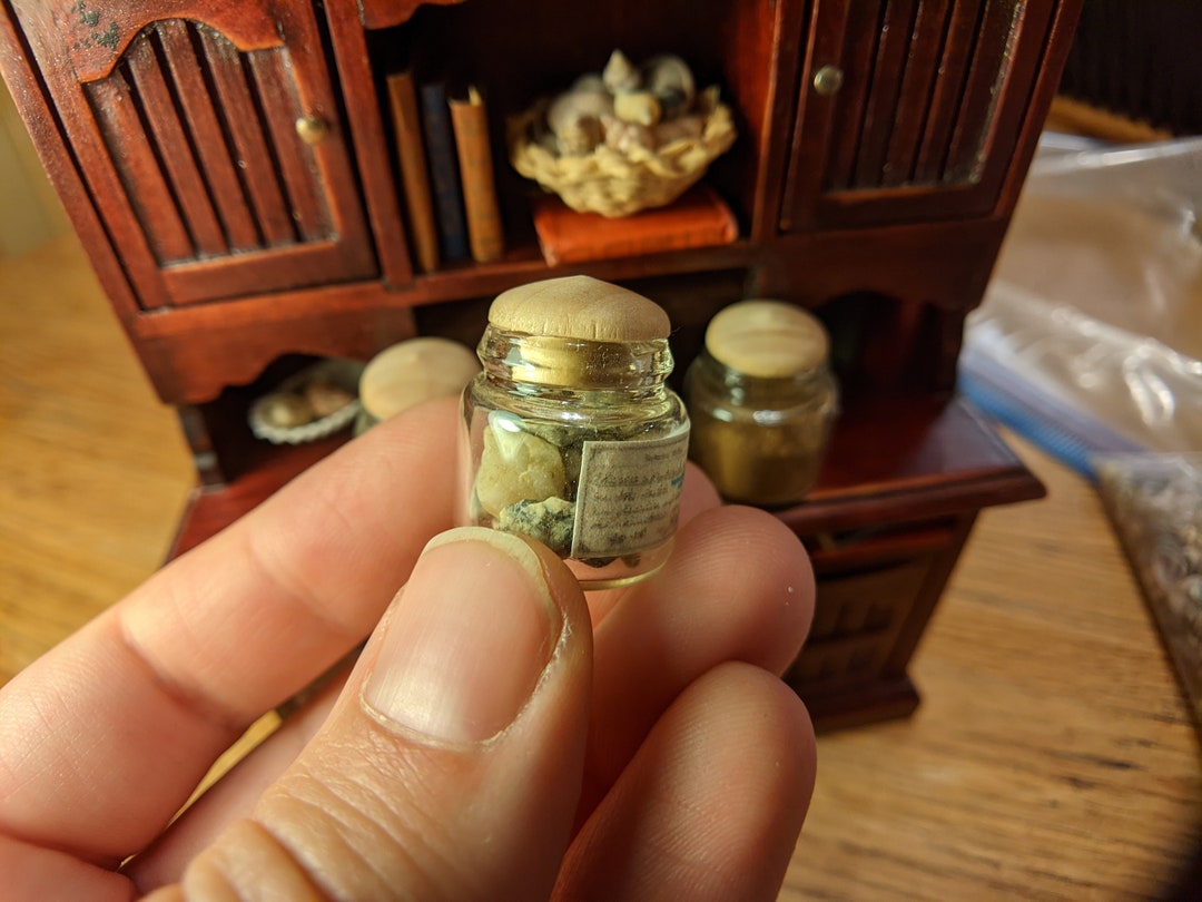Miniature Natural History Specimen Jars With Labels and Real Animal ...