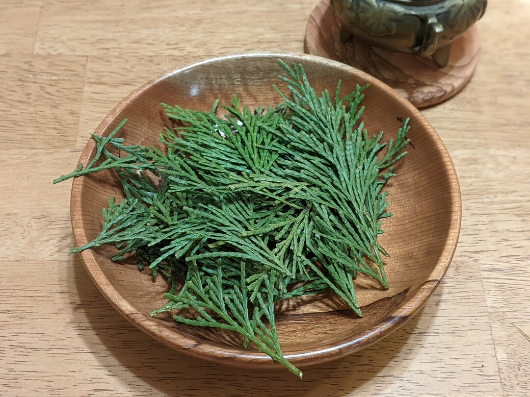 Cedar Tips for Incense, 0.5 Oz Dry, Incense Cedar, Calocedrus Decurrens ...