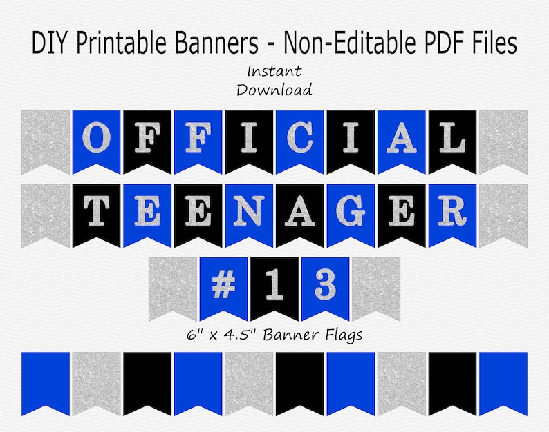 Official Teenager #13 Banner - Blue, Black & Silver Sparkle - Boy ...