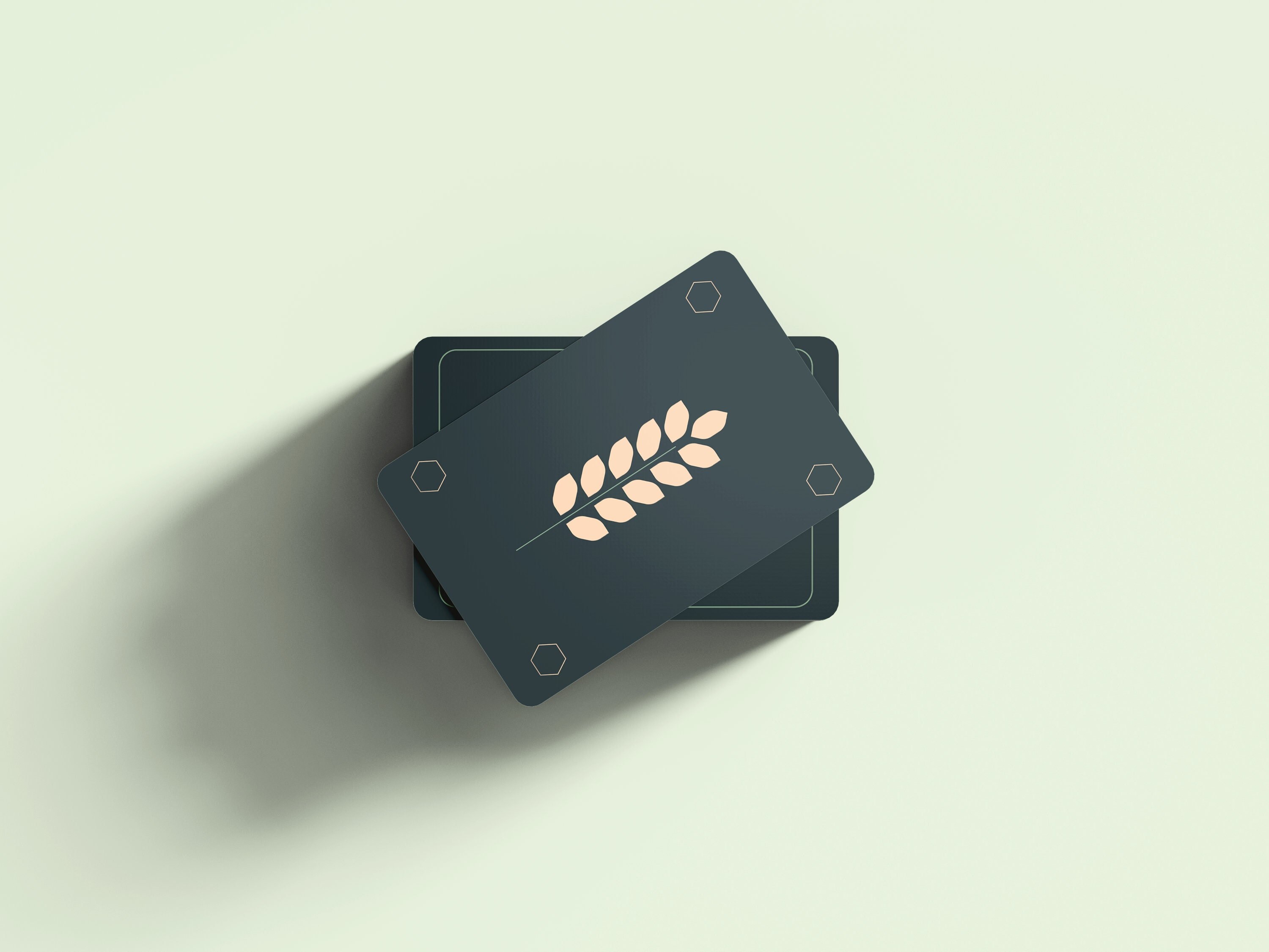 Modern and Minimalist Catan Card Set - A Contemporary Twist on a ...
