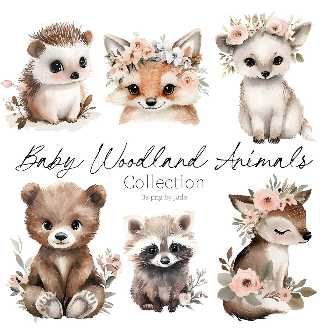 Baby Woodland Animals Clipart Set - Etsy