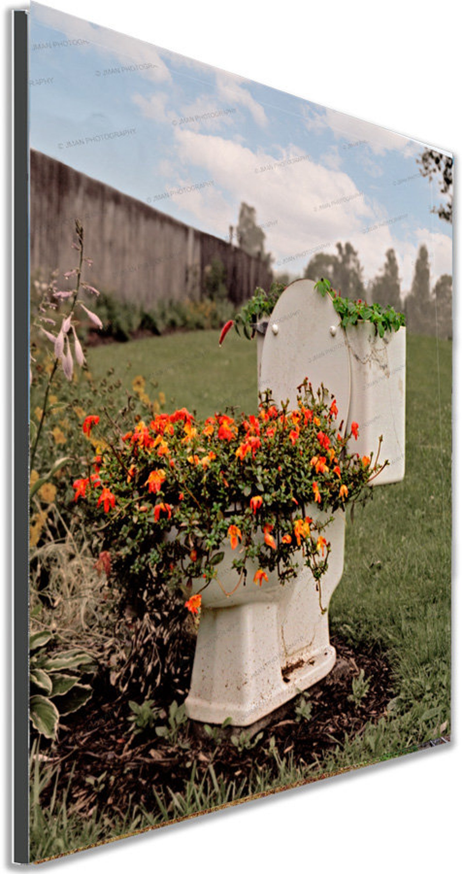 Commode Bathroom Photograph Picture - Etsy