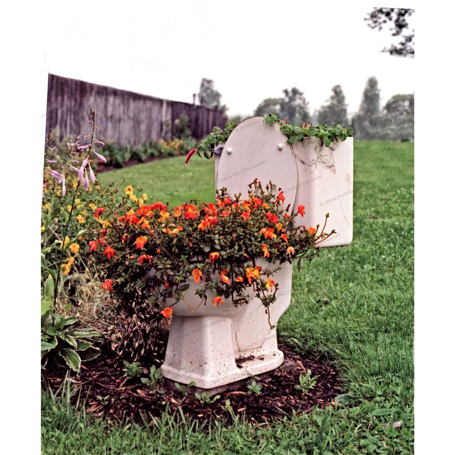 Commode Bathroom Photograph Picture - Etsy