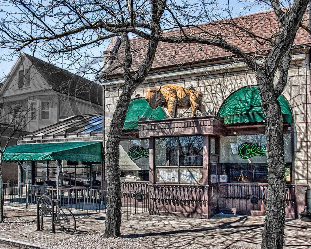 Cole's Bar, Buffalo New York--horizontal Image -- - Etsy