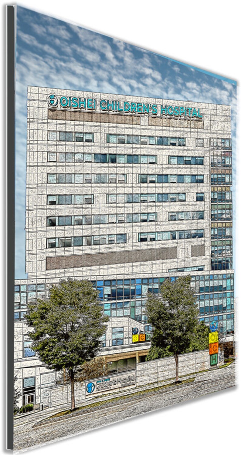 Oishei Childrens Hospital, Buffalo, NY Photo--vertical Image -- - Etsy