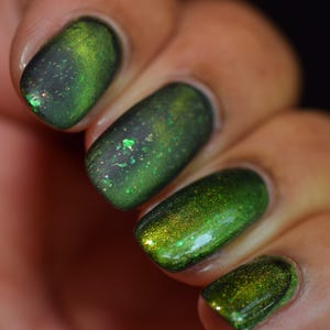 Queen B Borg Queen Jen & Berries Star Trek Villains Nail Polish Black ...