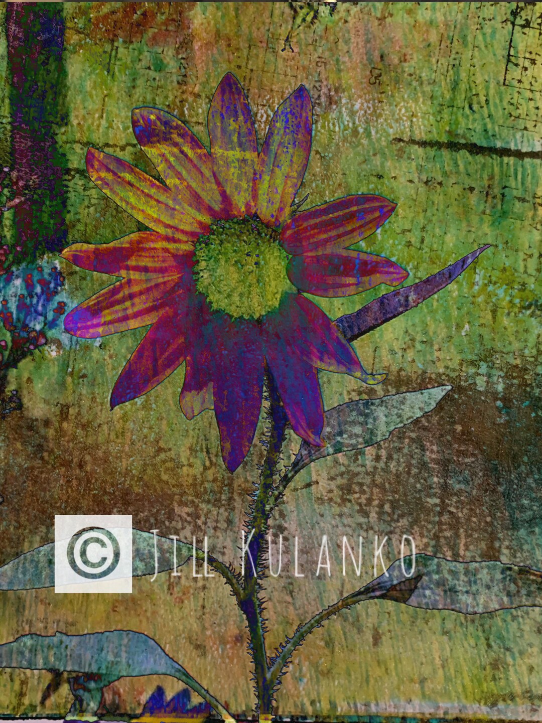 Impression of a Sunflower, Original Creative Photograph, Wall Art, Home ...