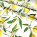 Lemon Fabric by the Yard, Upholstery Fabric, Kitchen Fabric for Curtain ...
