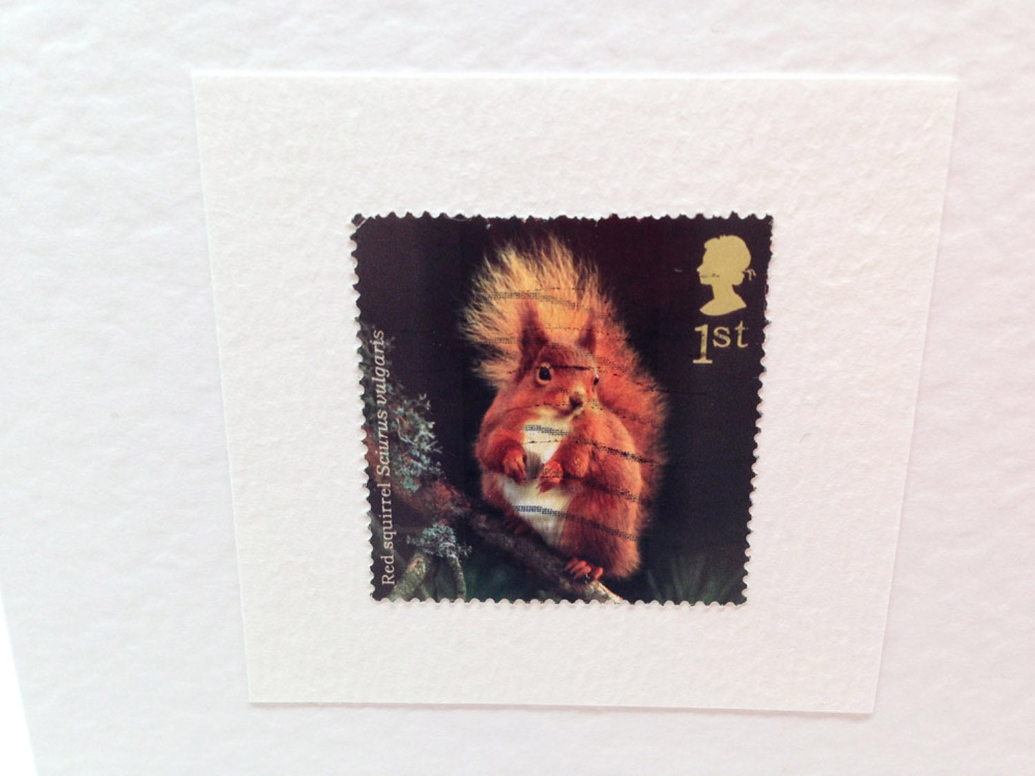 Various Animals Postage Stamp Cards Handmade buy 5 Get | Etsy