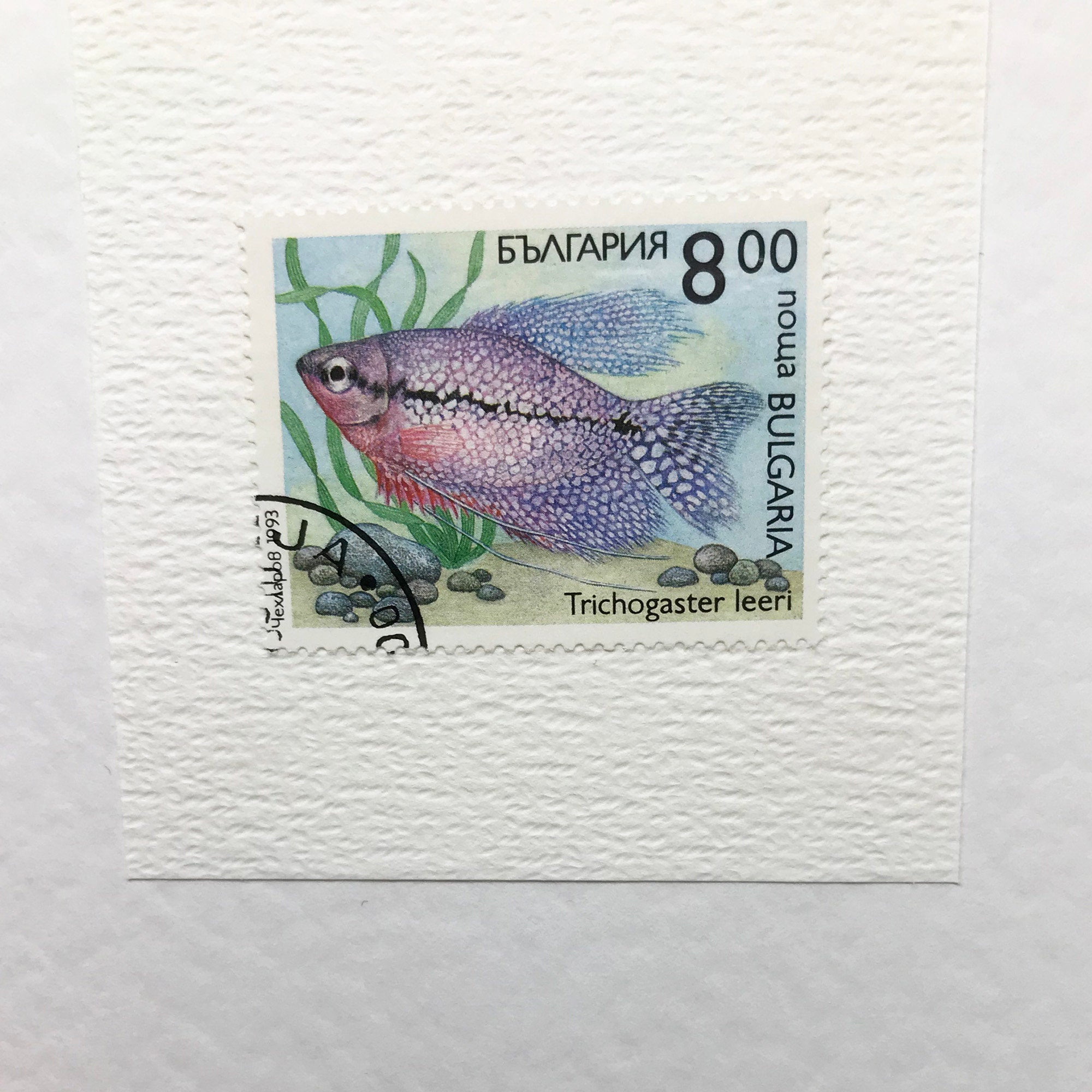 Various Fish Postage Stamp Cards Handmade FREE Postage on - Etsy