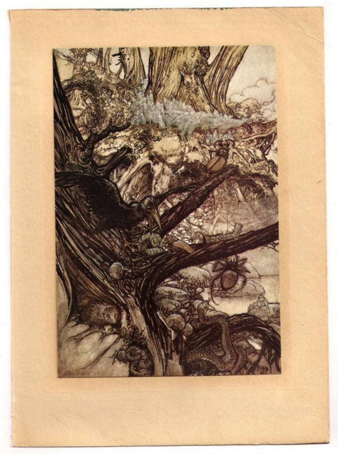 Original 1908 Arthur Rackham Art Nouveau Fairy Book Plate Print From a ...
