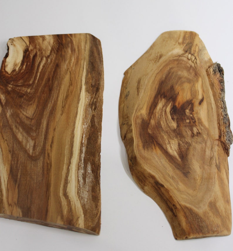 Apricot Slabs Spalted Wood Punky Tree Core Tree Planks | Etsy