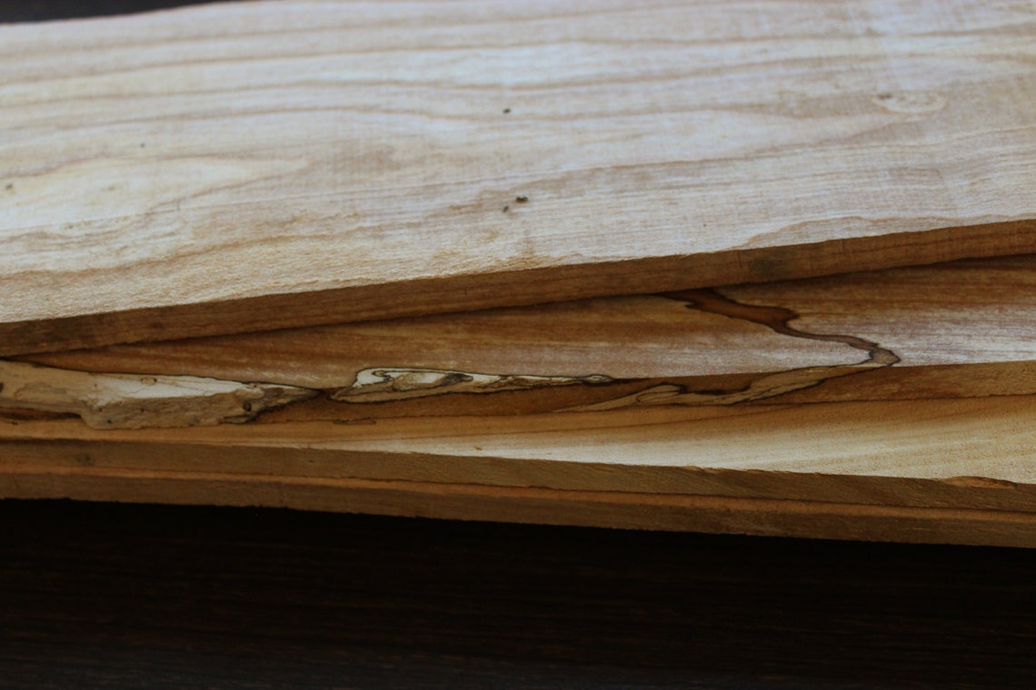 1 Weeping Willow Spalted Plank Punky Wood Slabs Tree Core | Etsy