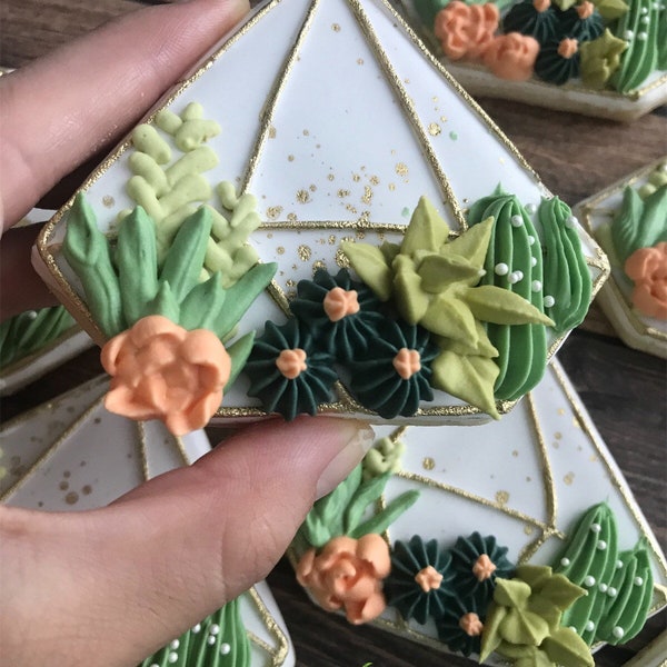 Succulent Cookies - Etsy