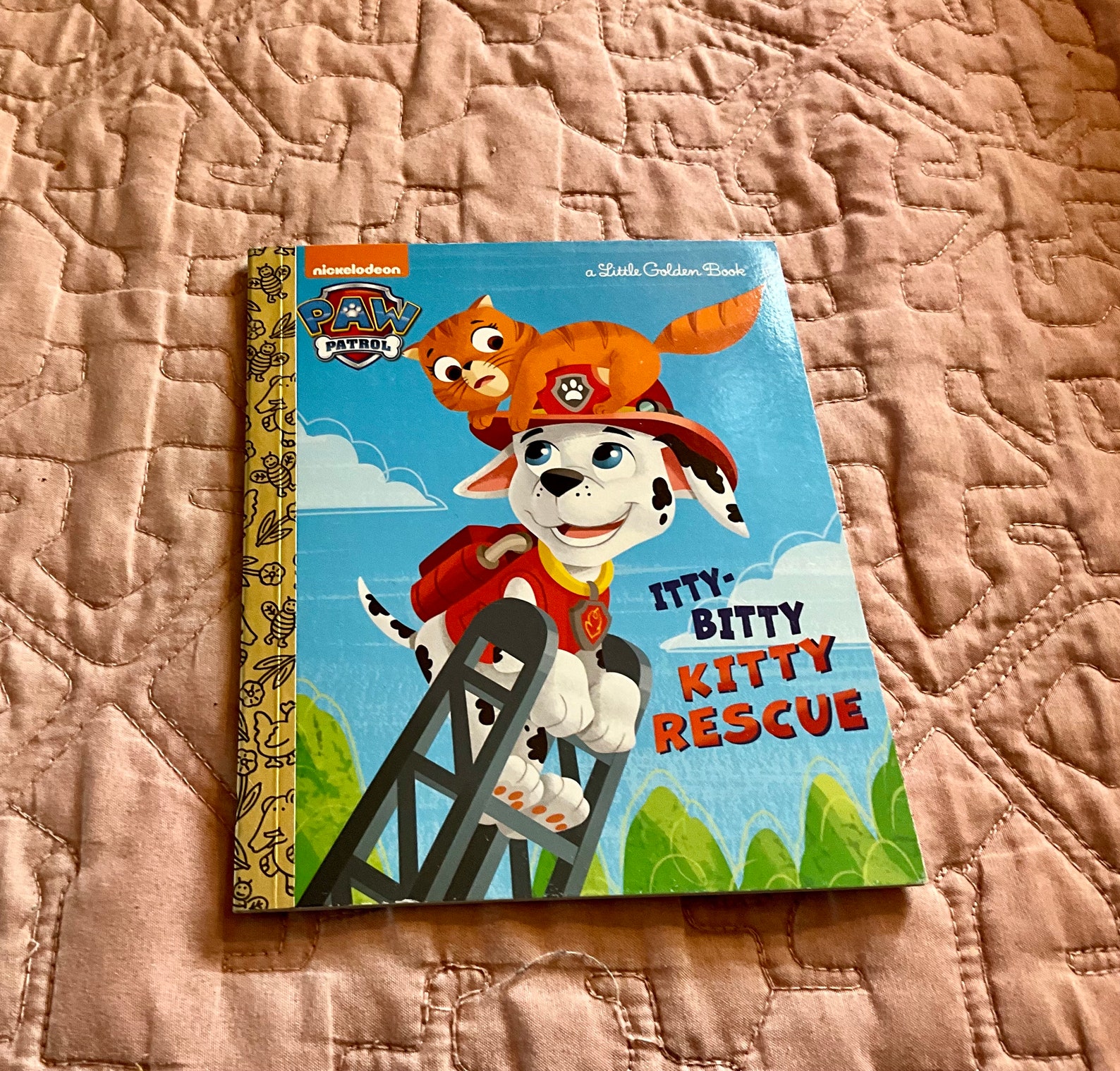 A Little Golden Book, Paw Patrol, Itty-bitty Kitty Rescue - Etsy