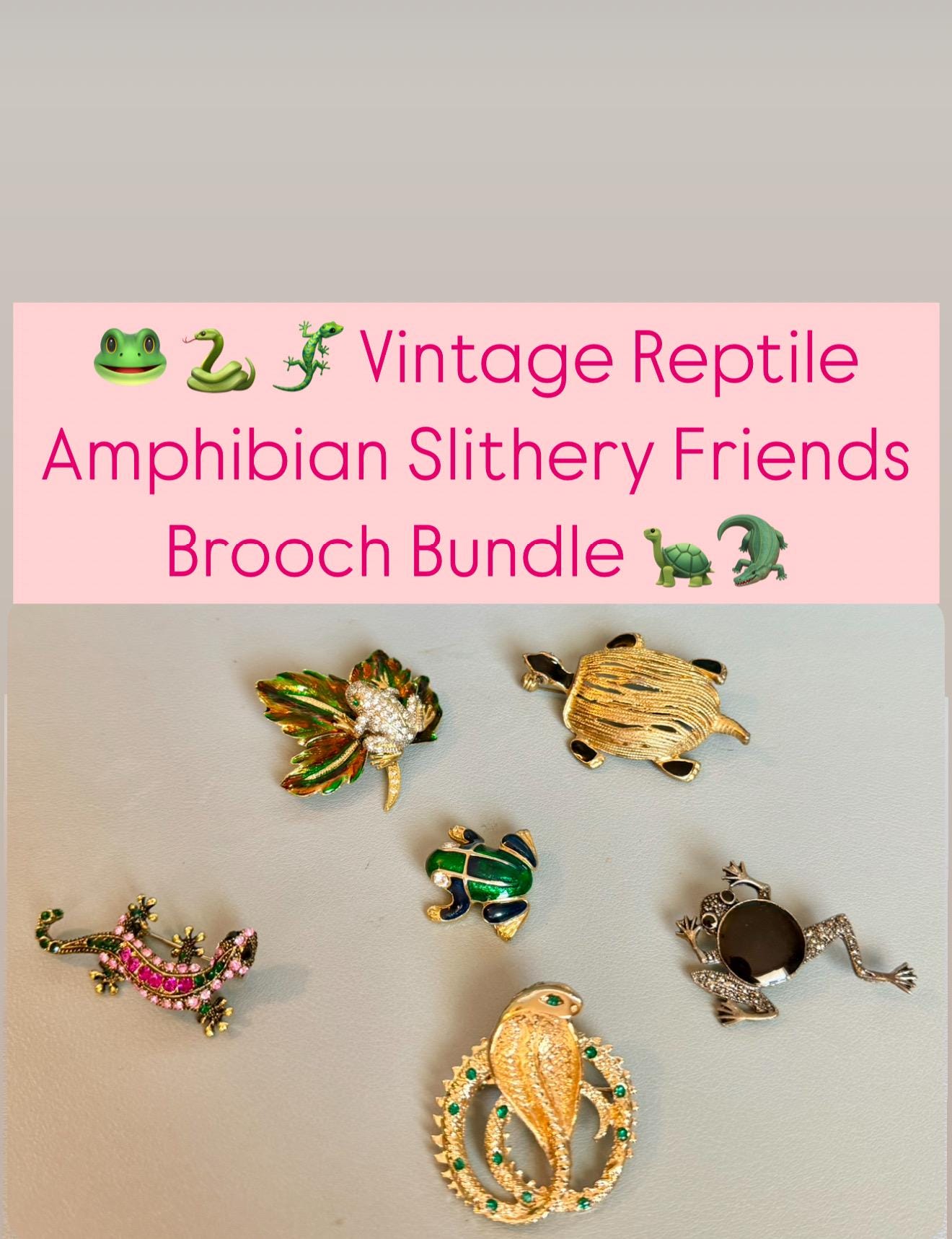 Vintage Reptile Amphibian Slithery Friends Brooch Broach Pin Bundle ...