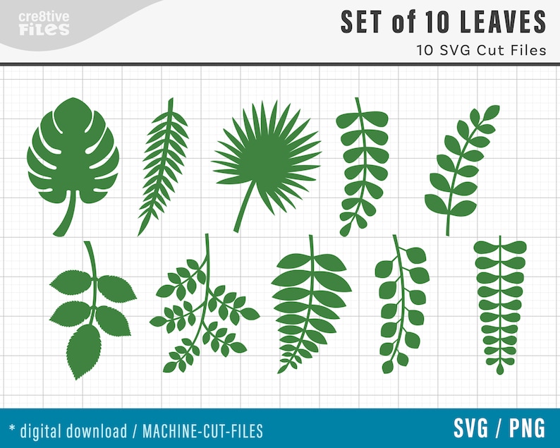 Set of 10 Leaves SVG Cut Files Set of 10 SVG Leaf - Etsy