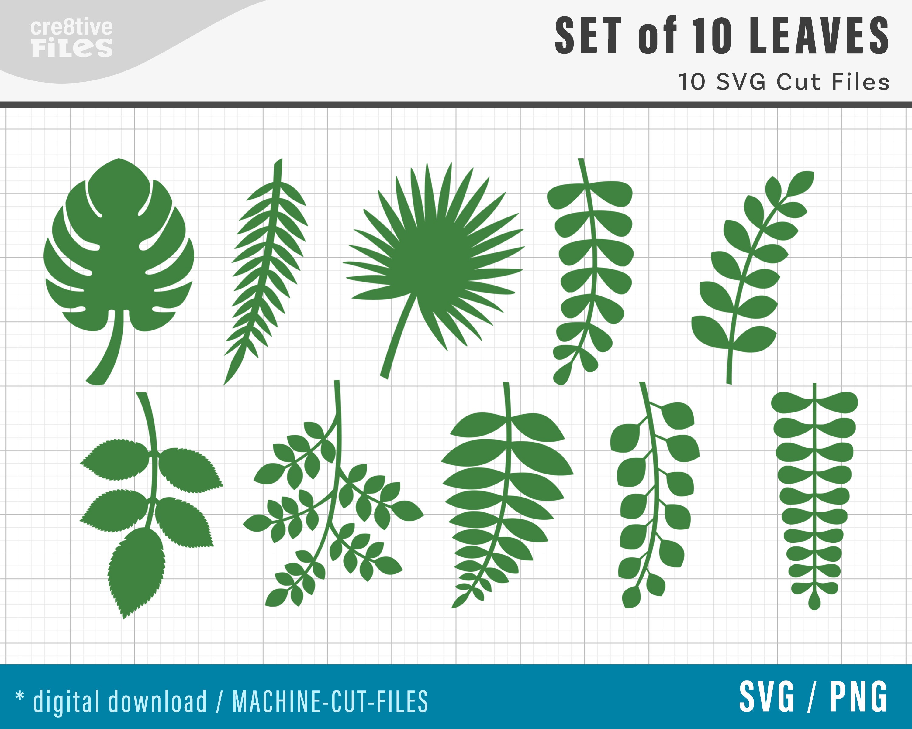 Set of 10 Leaves SVG Cut Files Set of 10 SVG Leaf - Etsy UK