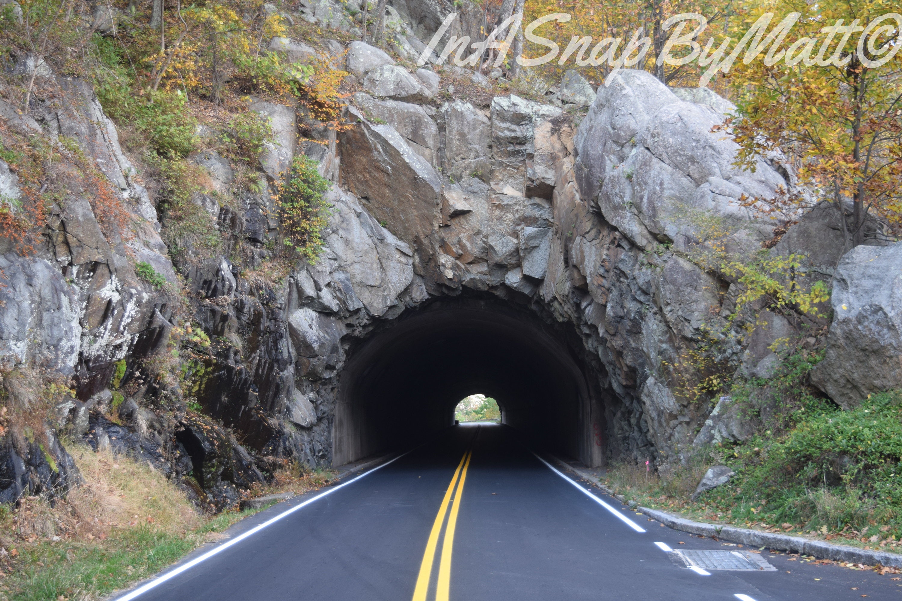 Tunnel Vision - Digital Image Photo Nature Photography Digital Download ...