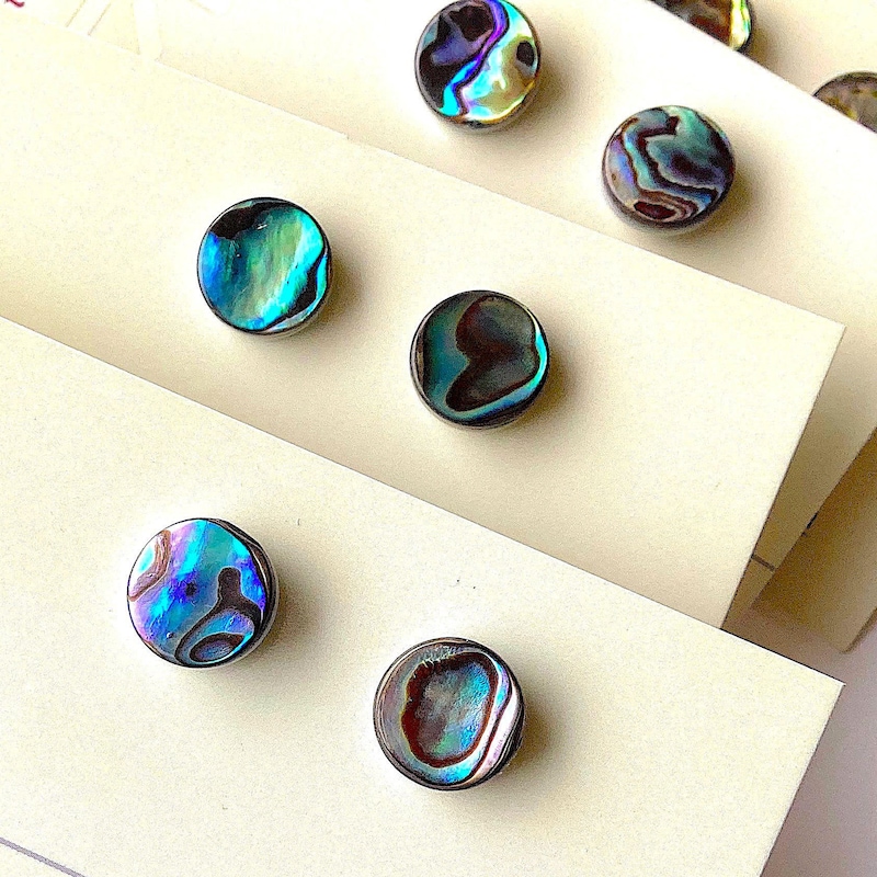 Shell Stud Earrings - Etsy