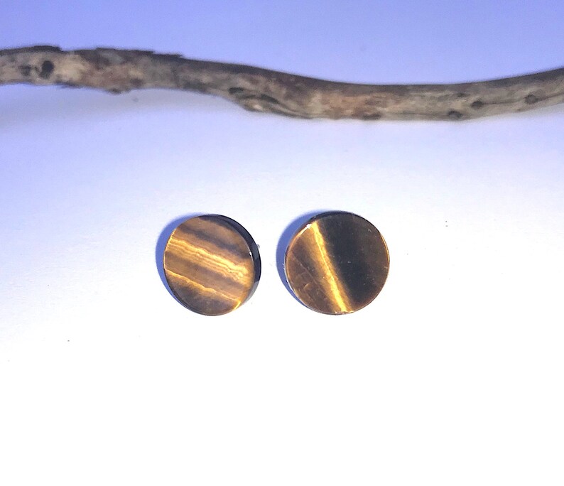 Tigers Eye Earrings in Flat Coin Shape Studs for Men or | Etsy