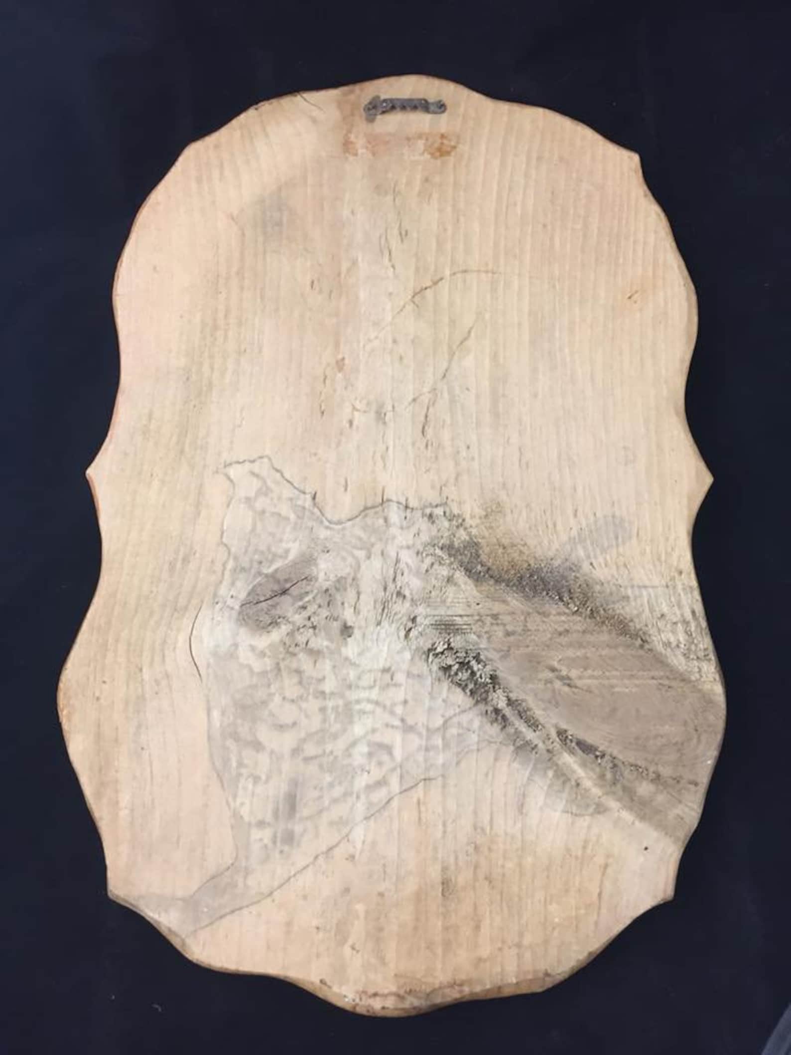 Vintage Hand Painted Goose Welcome Sign Plaque 1980 Geese Wall - Etsy