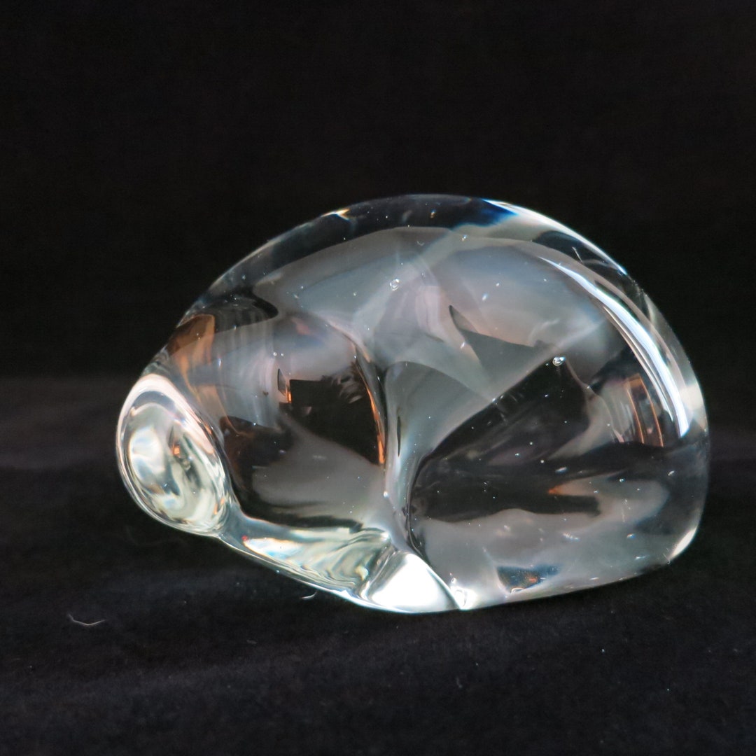 Molded Glass Clear Seashell Paperweight Polished Base 2.5" Tall ...