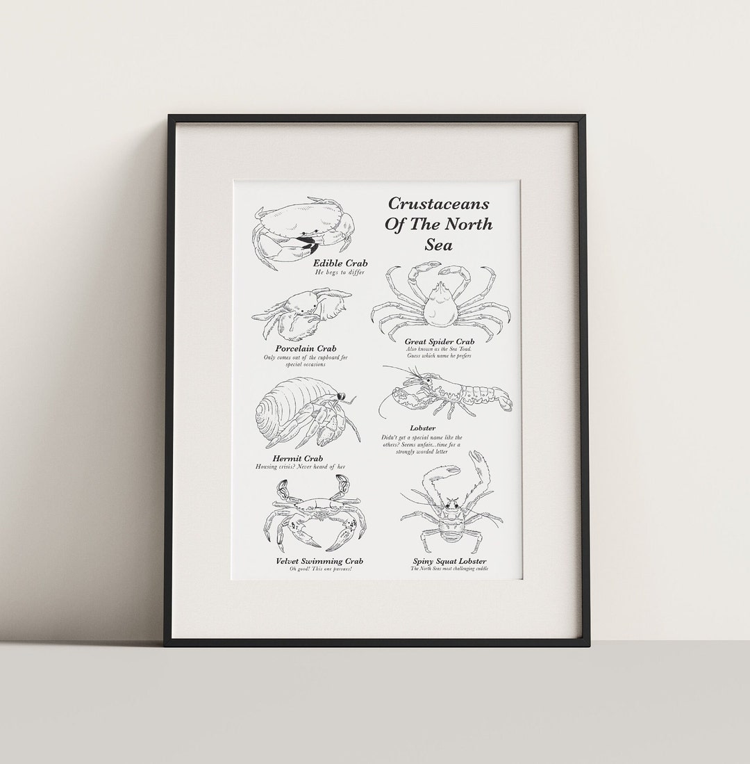Unframed Silly Crustaceans of the North Sea Print - Crustaceans - UK ...