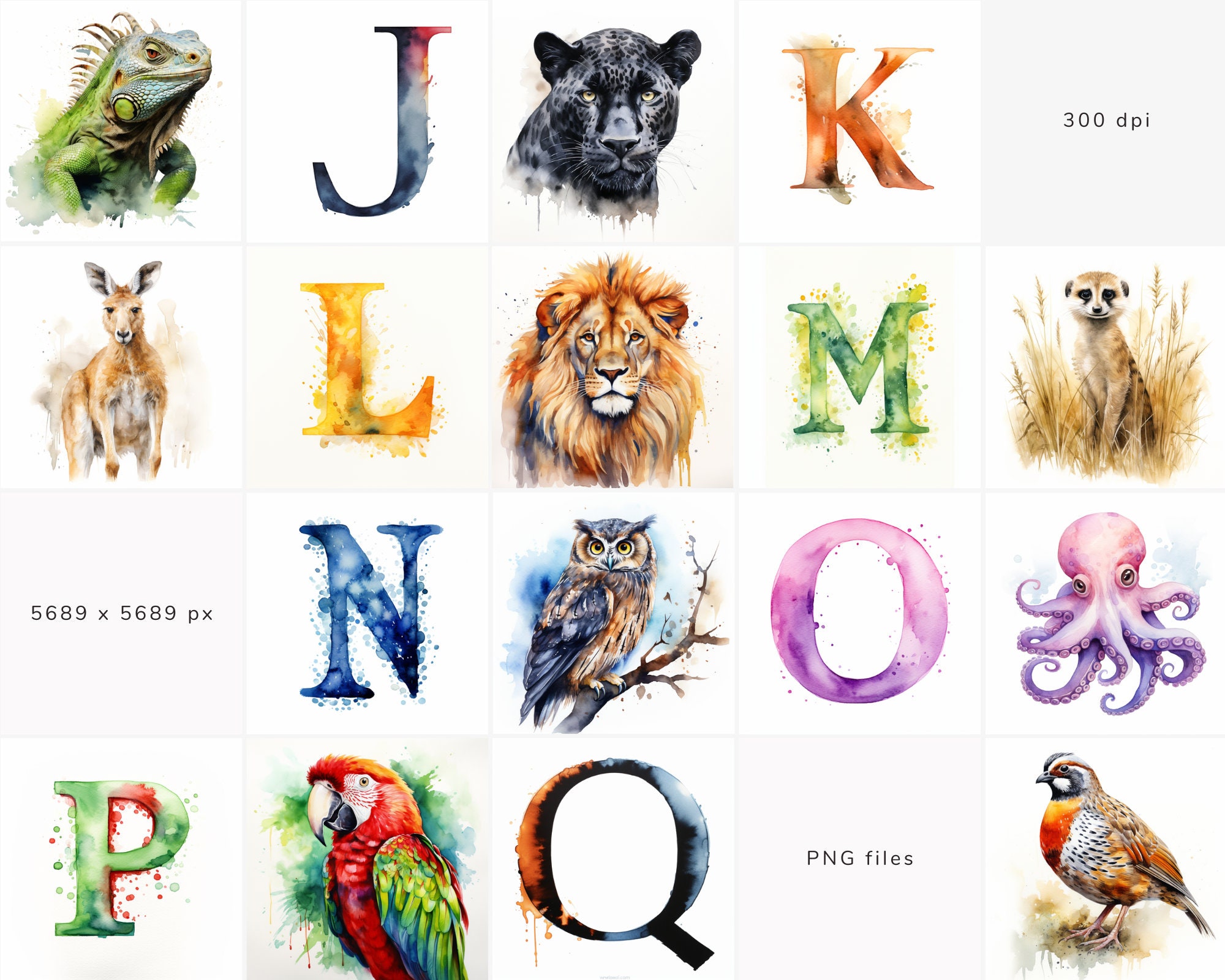 Animals Babyshower Alphabet Clipart Bundles Transparent PNG Printable ...