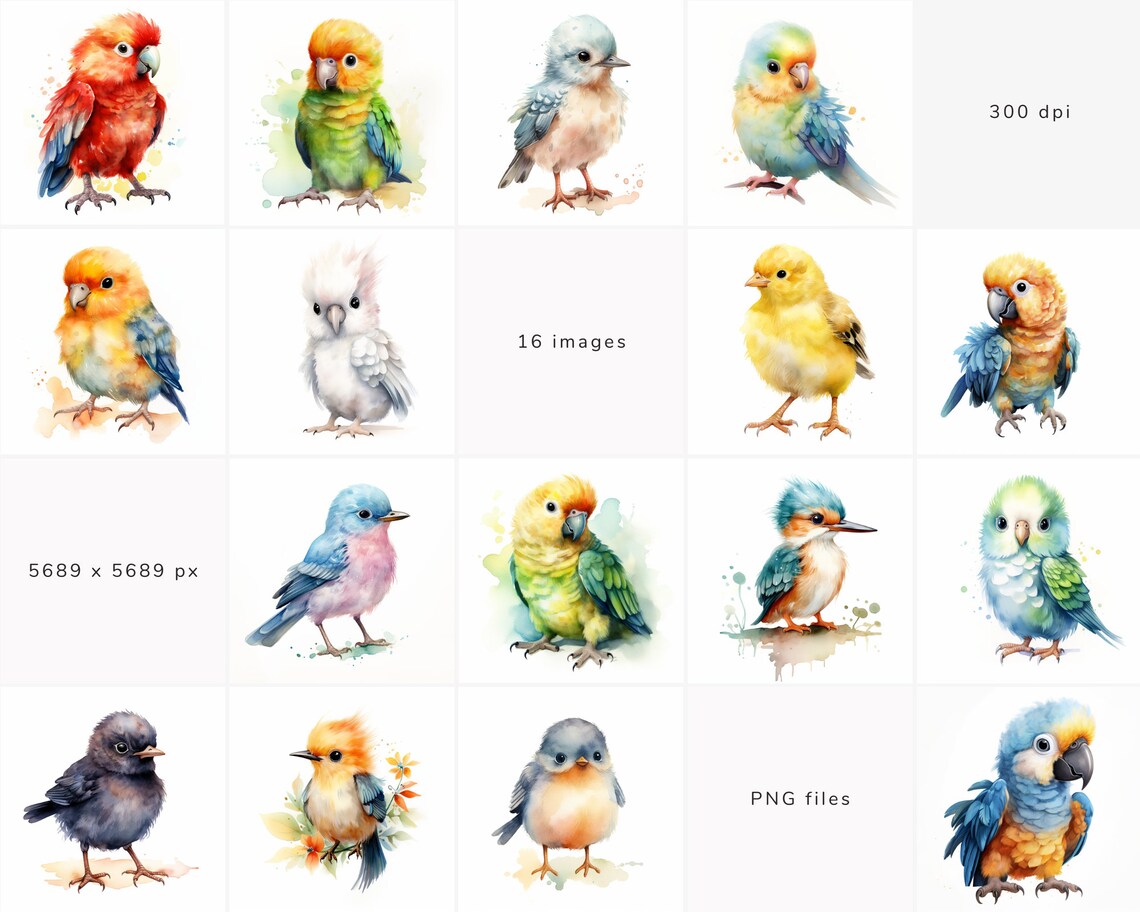 Exotic Birds Clipart Png Cute Birds Clipart Kids Nursery Clipart ...